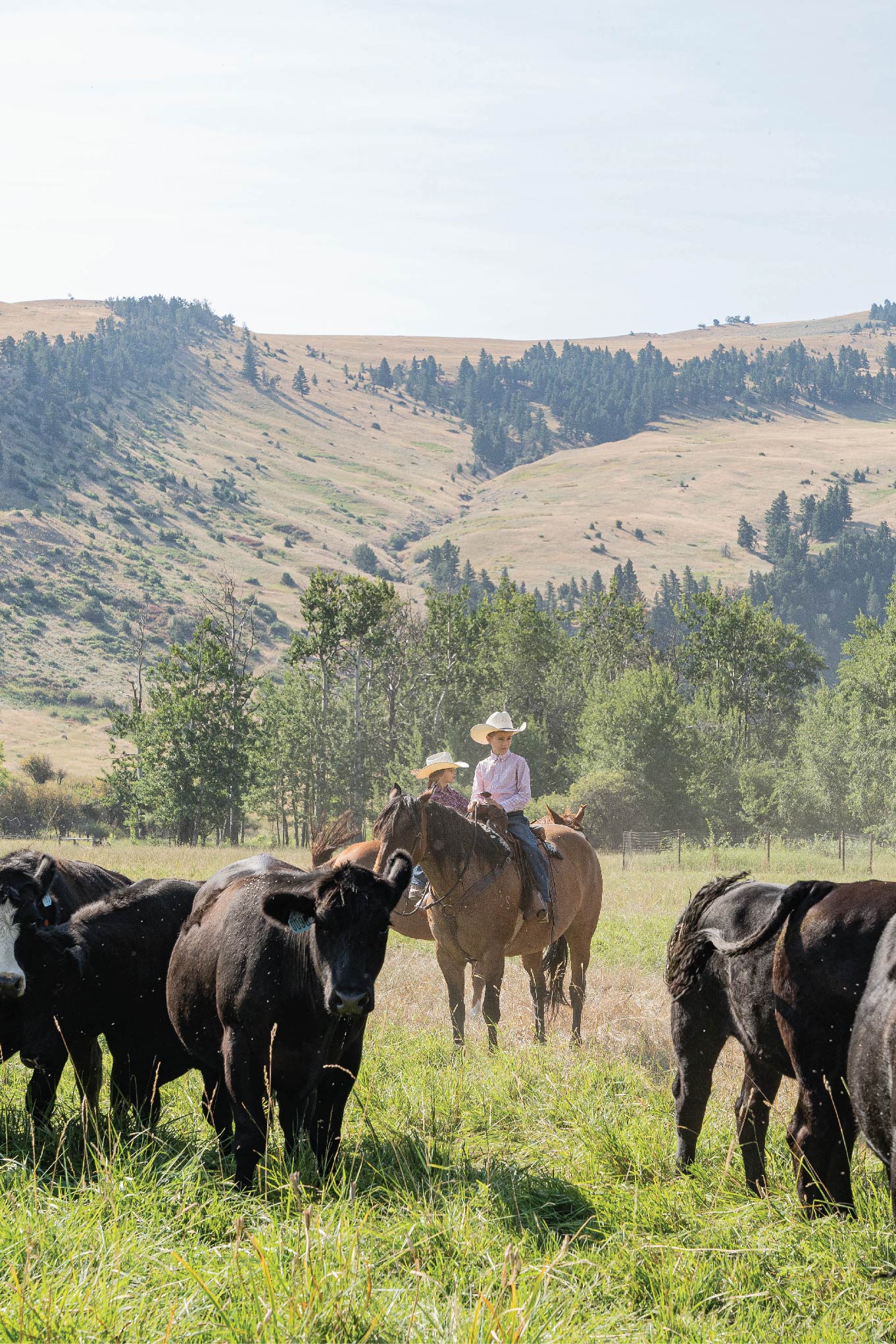 Our Philosophy - Cowgirl Meat Co